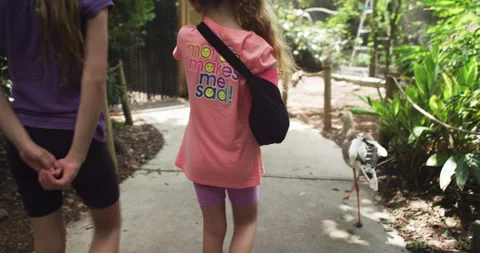 Two children walking behind a bird in an... | Stock Video | Pond5