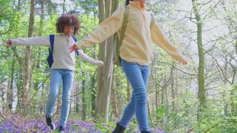 Children Walking In Stock Videos – Royalty-Free HD & 4K Videos