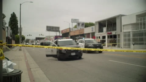 Two cop cars parked in the middle of the... | Stock Video | Pond5