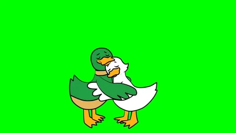 Two ducks hug kiss hearts love, green sc... | Stock Video | Pond5