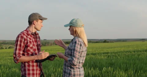Two farmers are talking against the back... | Stock Video | Pond5