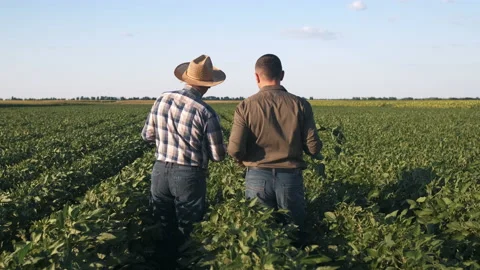 Two farmers standing in a field examinin... | Stock Video | Pond5