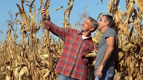 Zoom Photo Stock Videos – Royalty-Free HD & 4K Videos