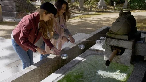 Friends Washing Stock Videos – Royalty-Free HD & 4K Videos | Pond5