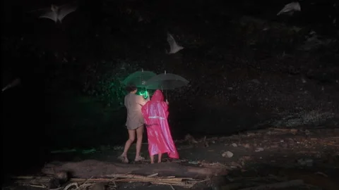 Two female persons exploring a bat cave.... | Stock Video | Pond5