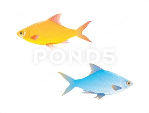 Two fish vector design: Royalty Free Illustration #108206450