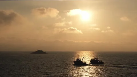 Two Birds Moving Stock Videos – Royalty-Free HD & 4K Videos | Pond5