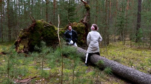 Firends Log Stock Videos – Royalty-Free HD & 4K Videos | Pond5