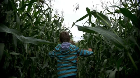 two funny boys running on the corn fiel... | Stock Video | Pond5