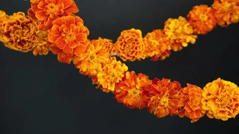 Two garlands of calendula flowers on a b... | Stock Video | Pond5