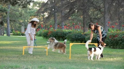 Girls Witb Dogs Stock Videos – Royalty-Free HD & 4K Videos