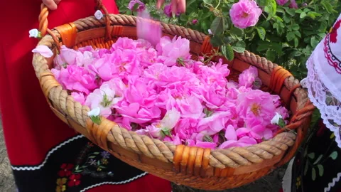 Basket Girls Stock Video Footage | Royalty Free Basket Girls Videos | Pond5