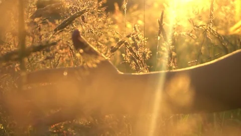 Touch The Girls Stock Videos – Royalty-Free HD & 4K Videos | Pond5