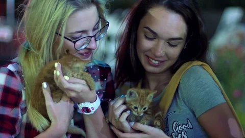 Pussy Playing Girls Stock Videos – Royalty-Free HD & 4K Videos