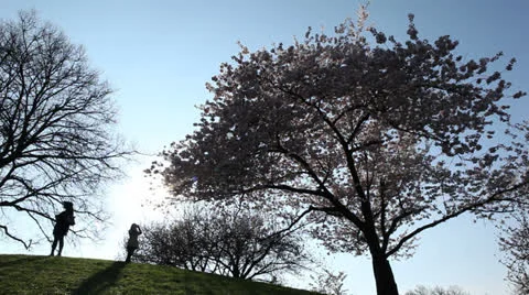 Girls Under Girls Stock Videos – Royalty-Free HD & 4K Videos