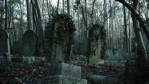 Two graves with vines growing on them in... | Stock Video | Pond5