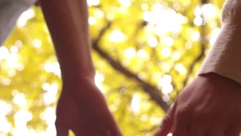 Two hands come together in fall | Stock Video | Pond5