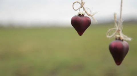 Barbed Wire Heart Stock Video Footage | Royalty Free Barbed Wire Heart Videos | Pond5