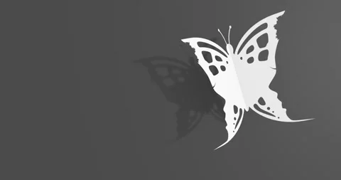 Silhouette Insect Stock Videos – Royalty-Free HD & 4K Videos