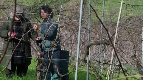 Women In Independent Stock Videos – Royalty-Free HD & 4K Videos