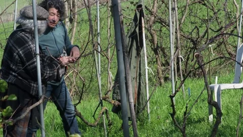 Women In Independent Stock Videos – Royalty-Free HD & 4K Videos