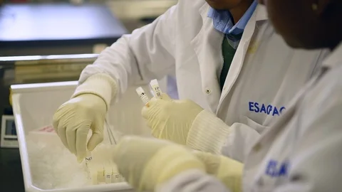 Record Bood Stock Videos – Royalty-Free HD & 4K Videos