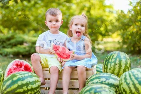 Two kids sitting between watermelons in the garden. Kids eat fruit ...
