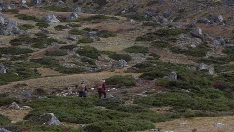 Two local sherpa carrying baskets in rur... | Stock Video | Pond5