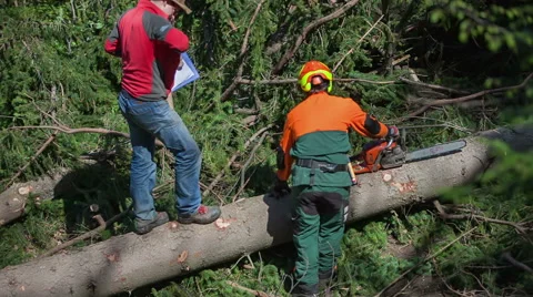 Two men are trying to measure and cut a ... | Stock Video | Pond5
