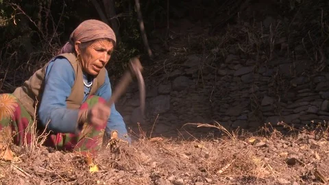 Old Women Dusting Stock Videos – Royalty-Free HD & 4K Videos | Pond5