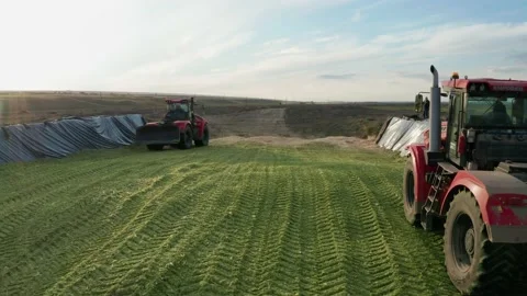 Two Red Tractors Tamp Silage in the Silo... | Stock Video | Pond5