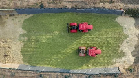 Two Red Tractors Tamp Silage in the Silo... | Stock Video | Pond5