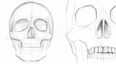Two Skull Drawing Stock Videos – Royalty-Free HD & 4K Videos