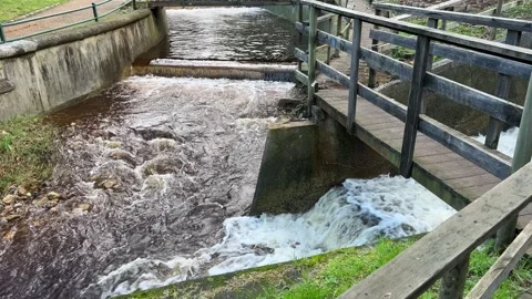 Rivers Foot Stock Videos – Royalty-Free HD & 4K Videos