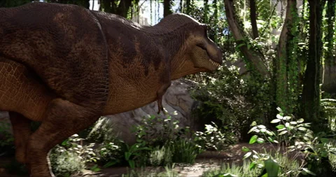 Two tyrannosauruses meet each other in t... | Stock Video | Pond5