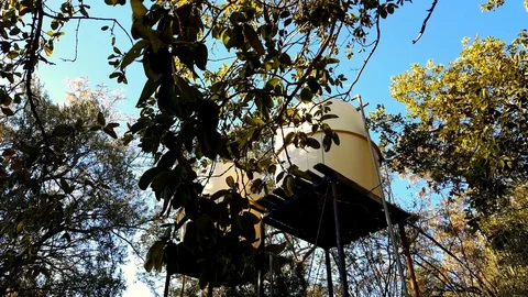 Two water tanks are revealed behind tree... | Stock Video | Pond5