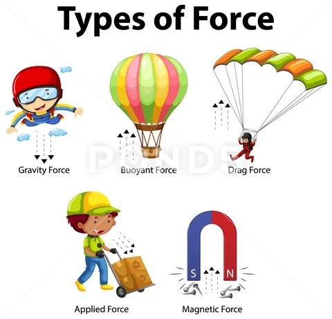 Types of force for children physics educational poster: Graphic #156011637