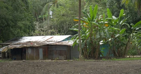 Typical Cabin In Costa Rica, Native Vers... | Stock Video | Pond5