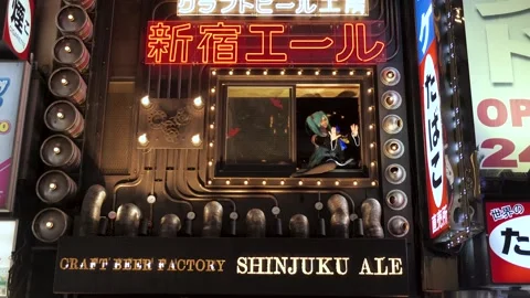 Japanese Girl V Stock Videos – Royalty-Free HD & 4K Videos | Pond5