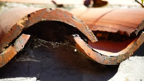 Terracotta Tiles Stock Footage ~ Royalty Free Stock Videos | Pond5