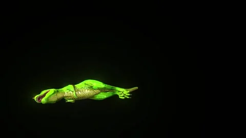 Tyrannosaurus Rex death animation 3D Ren... | Stock Video | Pond5