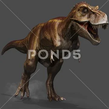 Tyrannosaurus rex dinosaur on gray background.: Royalty Free #164422094