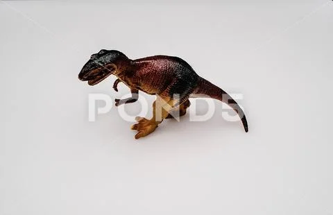 Tyrannosaurus rex is an extinct genus of tyrannosaurid theropod dinosaur ~ Hi Res #280189858