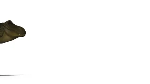 Rex H Stock Videos – Royalty-Free HD & 4K Videos