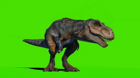 Green Screen T Rex Stock Video Footage | Royalty Free Green Screen T ...