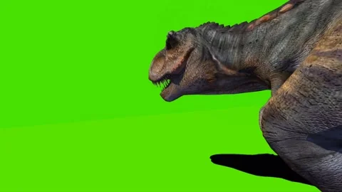 Tyrannosaurus rex Looking on Green Scree... | Stock Video | Pond5