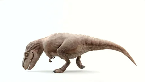 Tyrannosaurus Rex Stock Video Footage | Royalty Free Tyrannosaurus Rex ...