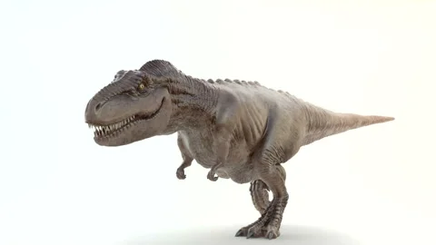 Tyrannosaurus Rex Stock Video Footage | Royalty Free Tyrannosaurus Rex ...