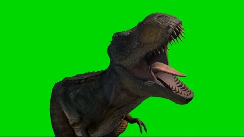 Tyrannosaurus rex Roaring on Green Scree... | Stock Video | Pond5