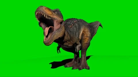 T Rex Green Screen Stock Footage ~ Royalty Free Stock Videos | Pond5